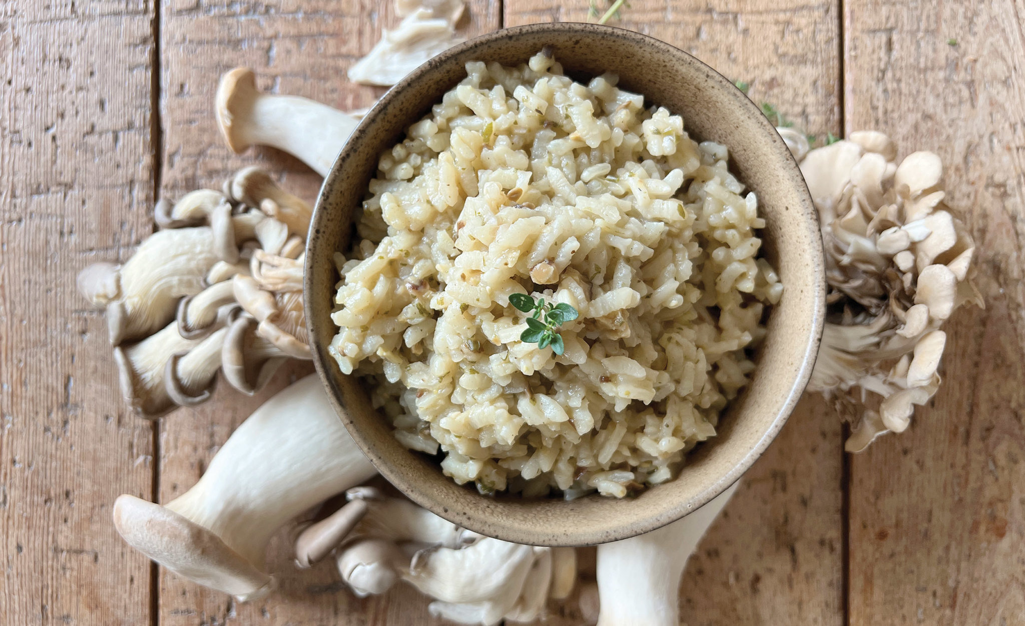 Porcini Mushroom Risotto – Finch + Fennel